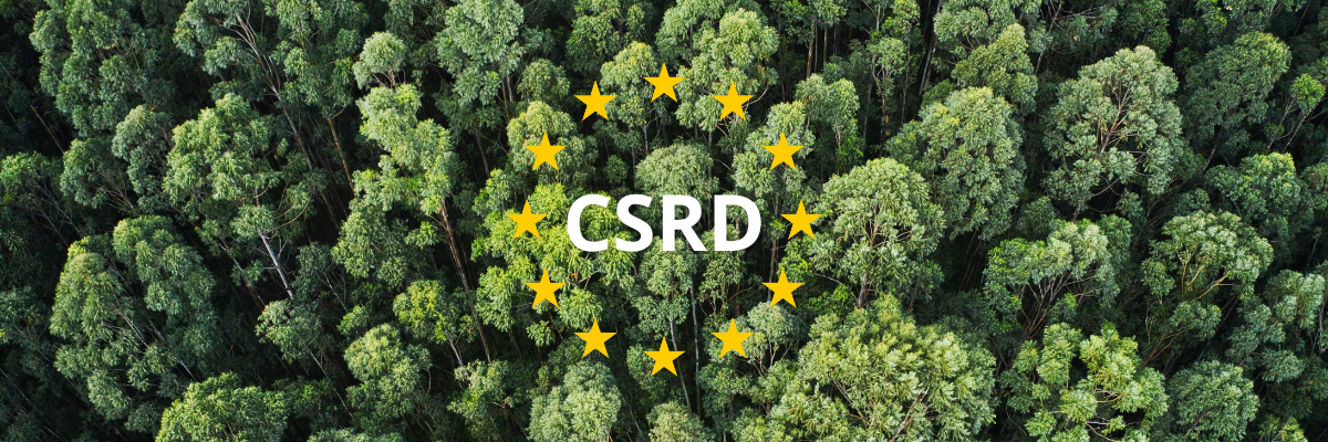 CSRD: alles wat je moet weten en wat het voor jouw bedrijf betekent - Hazet